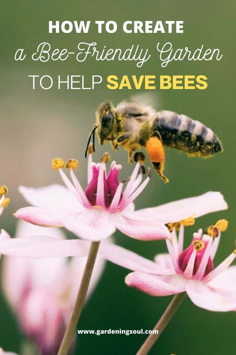 How to Create a Bee-Friendly Garden to Help Save Bees