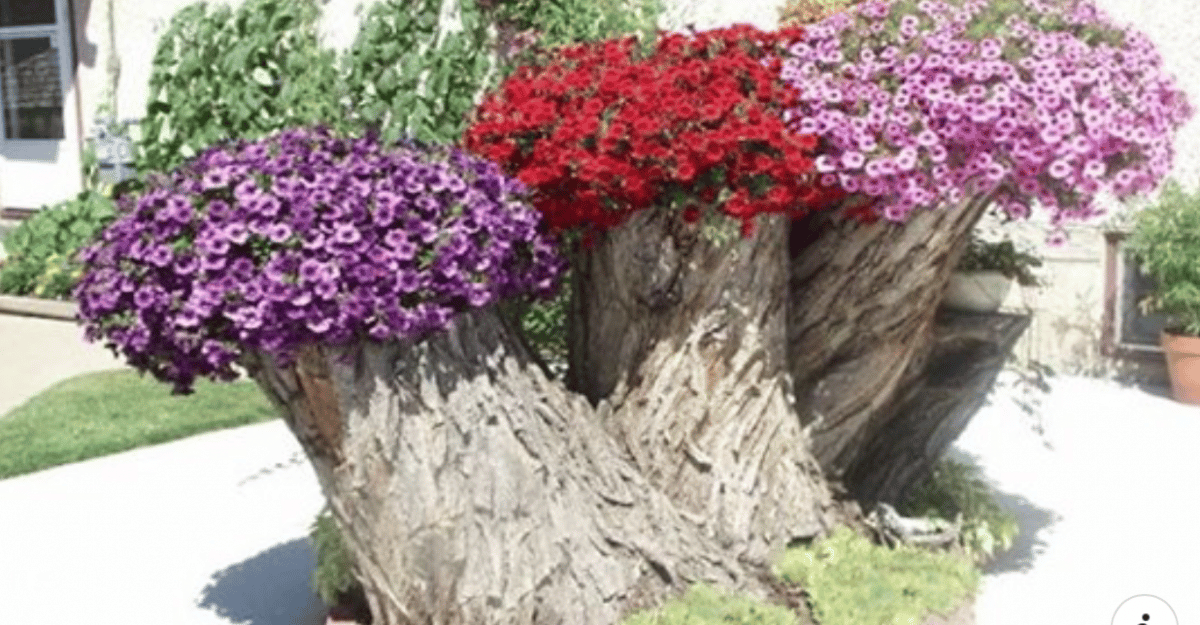 How to Turn a Tree Stump into a Beautiful Flower Planter: Step-by-Step ...