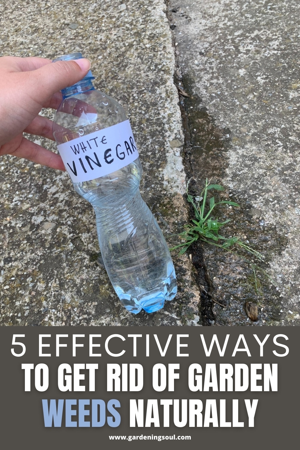 5 Effective Ways To Get Rid Of Garden Weeds Naturally