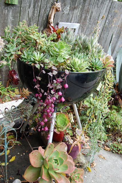 15 Creative Garden Container Ideas Using Repurposed Household Items