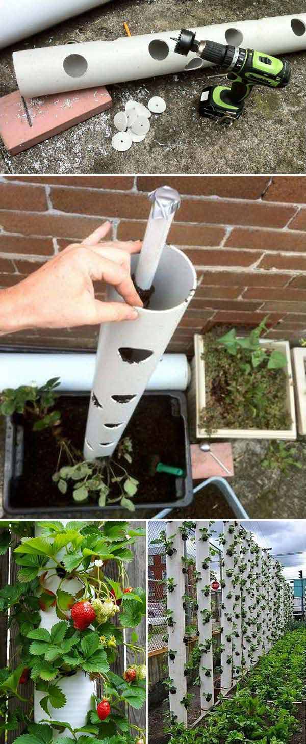 6 Clever DIY Strawberry Planter Ideas for Small Spaces and Big Harvests