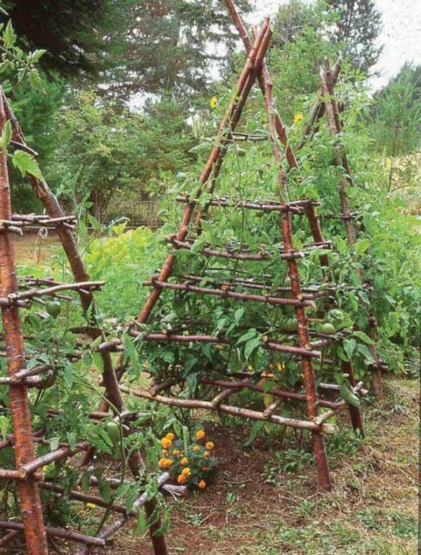 11 Ideas to Make a Small Vegetable Garden