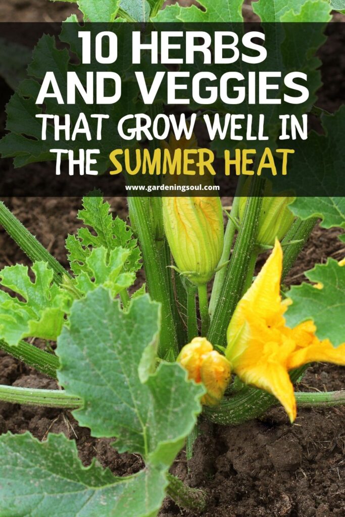 10 Herbs and Veggies That Grow Well in The Summer Heat