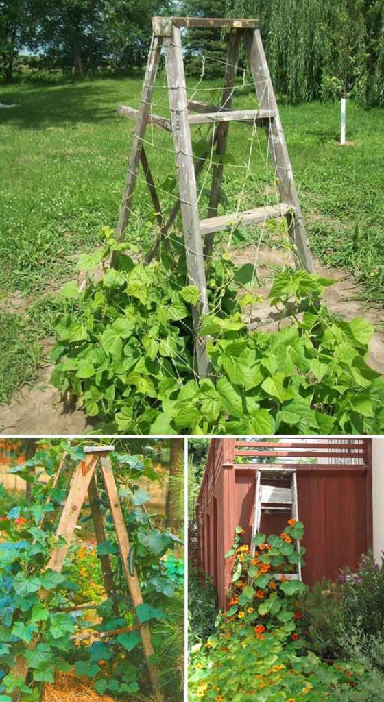 12 Creative DIY Garden Trellis Ideas Using Repurposed Materials