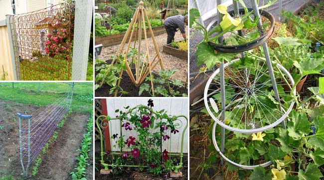 12 Creative DIY Garden Trellis Ideas Using Repurposed Materials