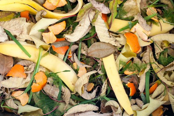 8 Brilliant Ways to Use Citrus Peels in Your Garden