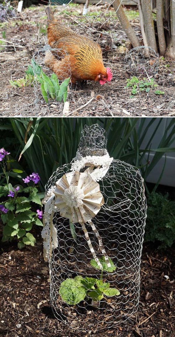 10 Brilliant Chicken Wire Projects to Protect and Beautify Your Garden