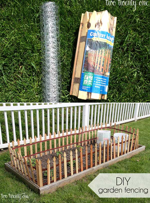 10 Brilliant Chicken Wire Projects to Protect and Beautify Your Garden