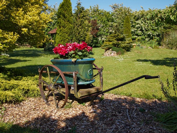15 Amazing Wheelbarrow Planter Ideas for Your Garden
