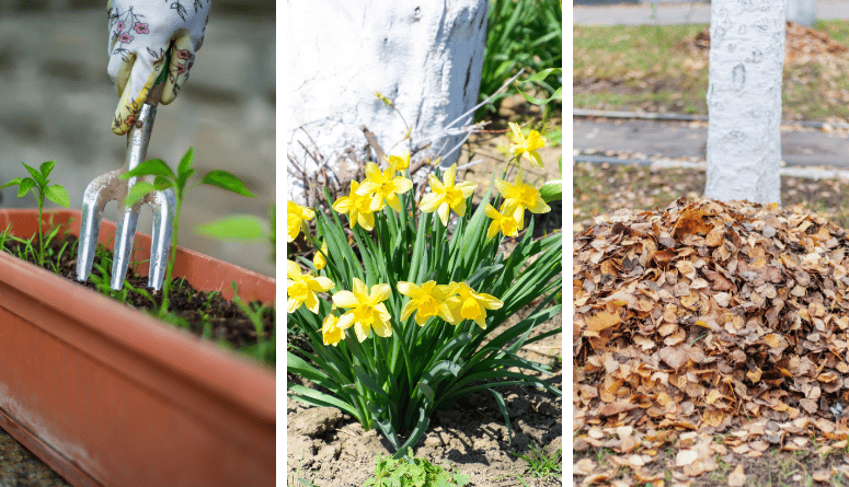 8 Important Things To Do In Garden In April