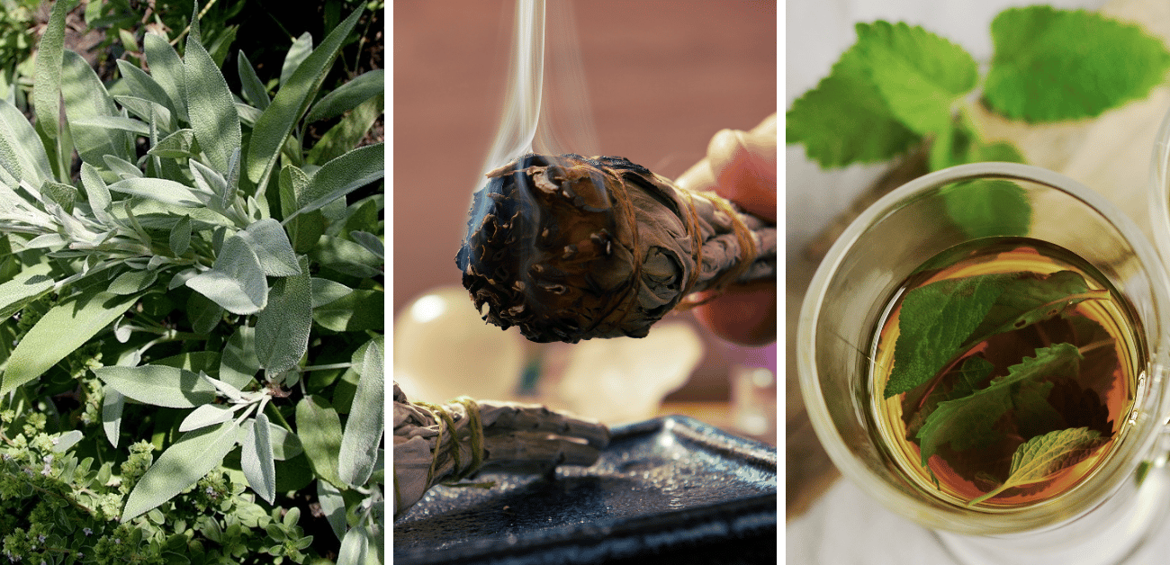 14 Wonderful Ways You Can Use Sage Leaves