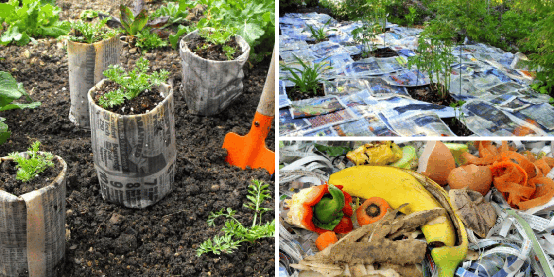 9 Excellent Ways to Use Newspaper in Your Garden