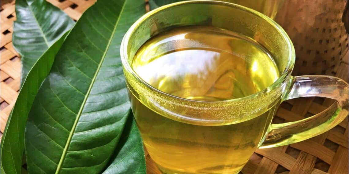 8 Incredible Benefits of Mango Leaves and How to Use Them