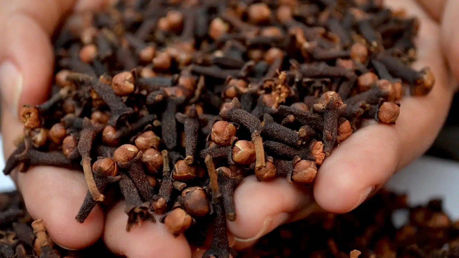 10 Secret Health Benefits of Cloves Everyone Should Know (And How to ...