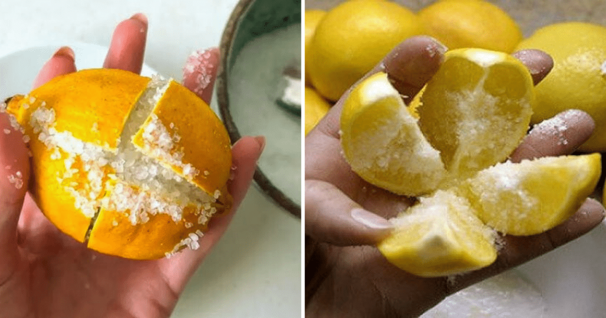 Cut a Lemon in 4, Add Salt and Place it in Your Room: The Lemon and ...