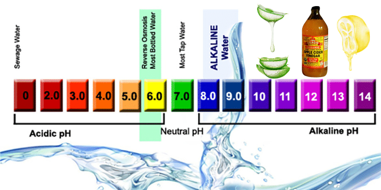 The 5-Ingredient Alkalizing Water Everyone Is Drinking Morning and ...