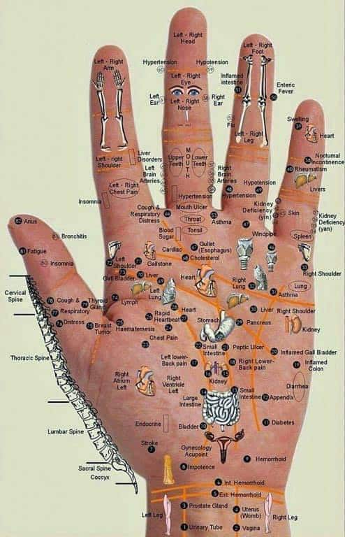 Press These Points for Wherever You Have Pain - Every Body Part Is in ...