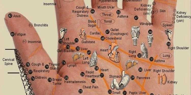 Press These Points for Wherever You Have Pain - Every Body Part Is in ...