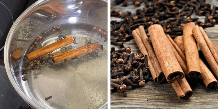 Drink Cloves with Cinnamon First Thing in the Morning: See What Happens ...