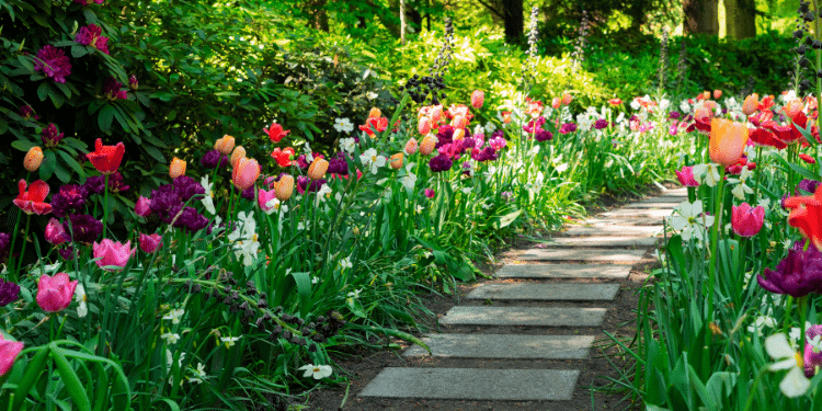 15 Best Spring Flowers | Flowers to Grow in Spring for a Bloom-Filled ...