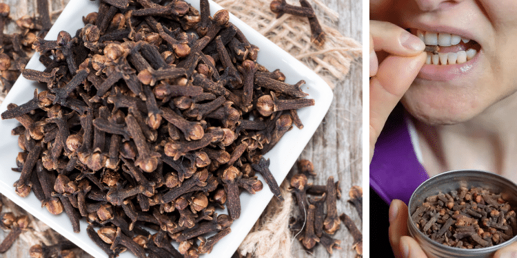 Chewing Cloves Daily: A Tiny Habit with Massive Health Benefits